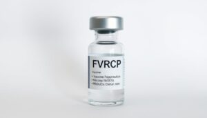 What Is FVRCP Vaccine for Cats? Everything You Need to Know